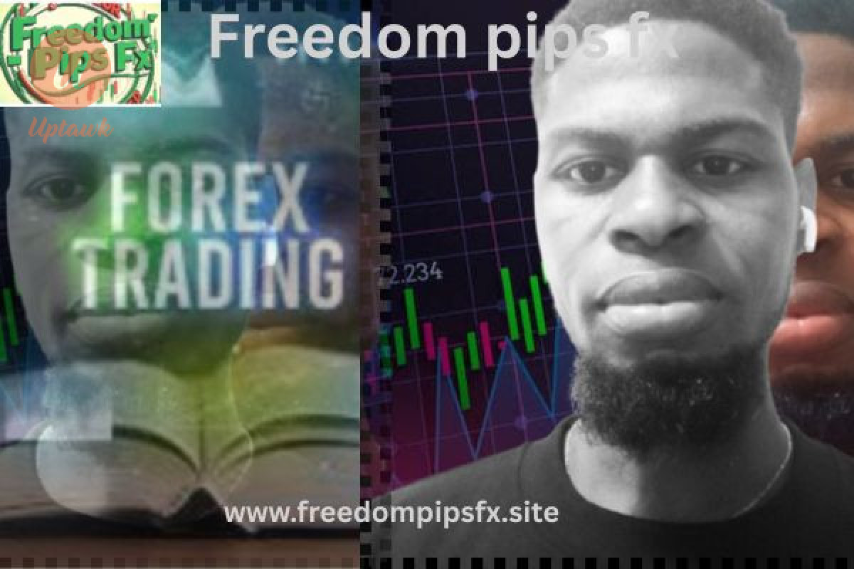 Freedom pips Fx | Know the price of a token before launch